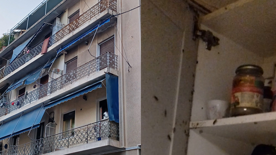 Άγιος Παντελεήμονας: Εικόνες μέσα από το γεμάτο κατσαρίδες σπίτι – «Ο ...