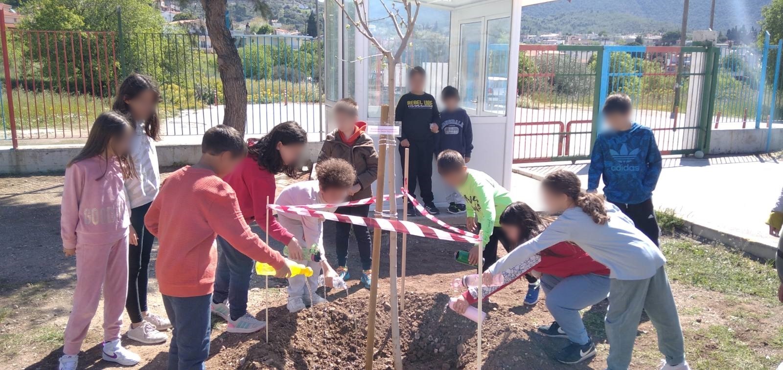 Δημοτικό Σχολείο Περαχώρας: «Φυτεύω και Υιοθετώ ένα δέντρο, δίνω ανάσα ...