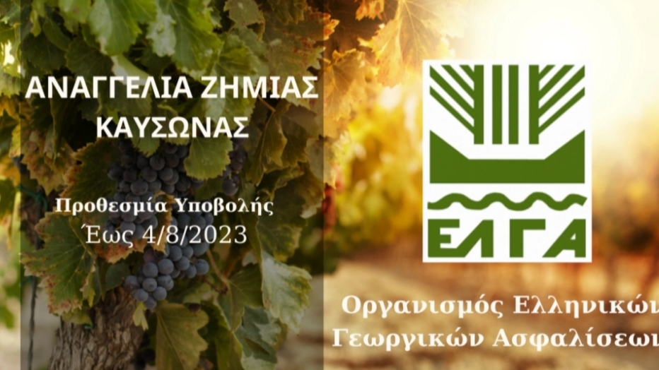 ΕΛΓΑ: Ενάρξη Υποβολής Δηλώσεων Ζημιάς για τον καύσωνα της Κυριακής (23/ ...
